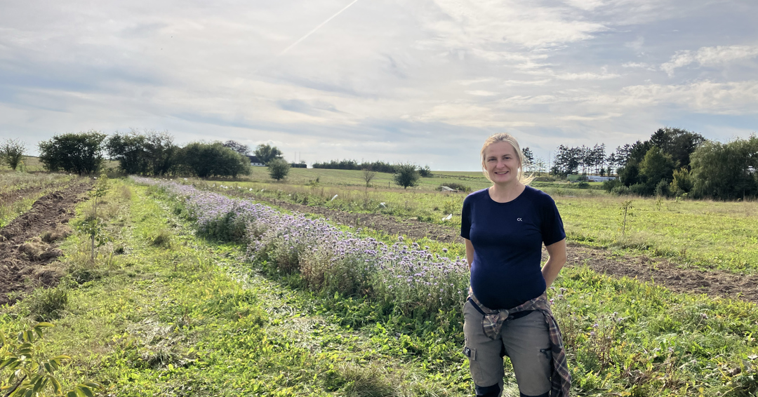 Et regenerativt landbrug med nødder